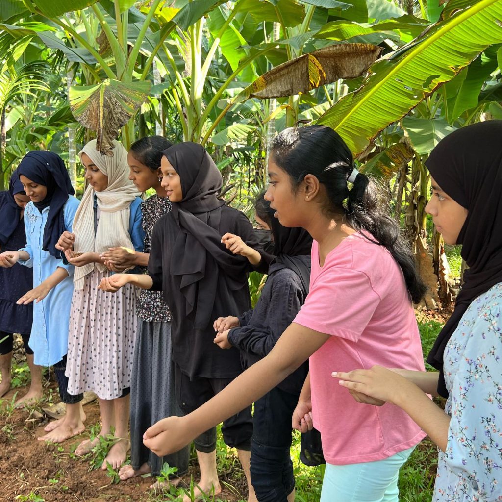 Edutainment | An interactive wholesome educational activity for our budding farmers | Paddy ...